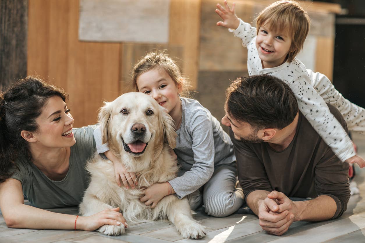 25 Best Family Dogs for Kids - Parade Pets
