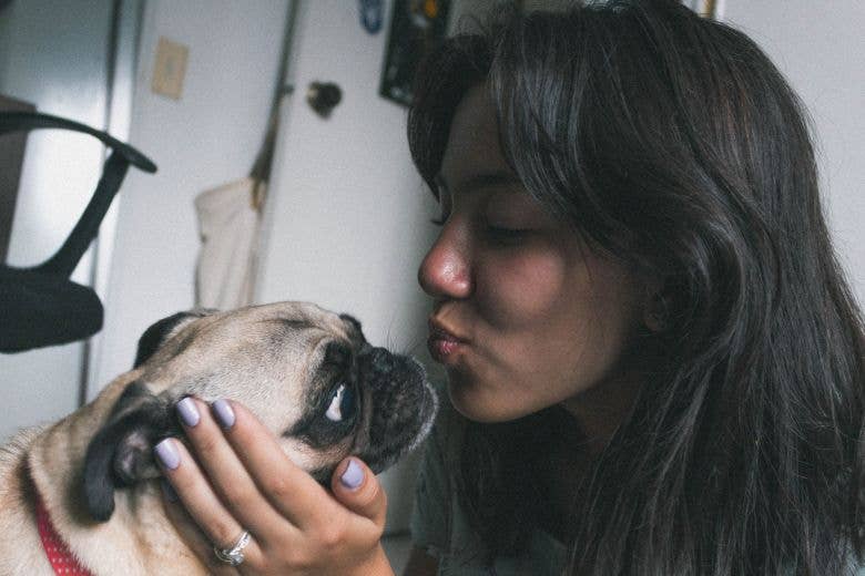 10 Best Pet Adoption Websites - Parade Pets