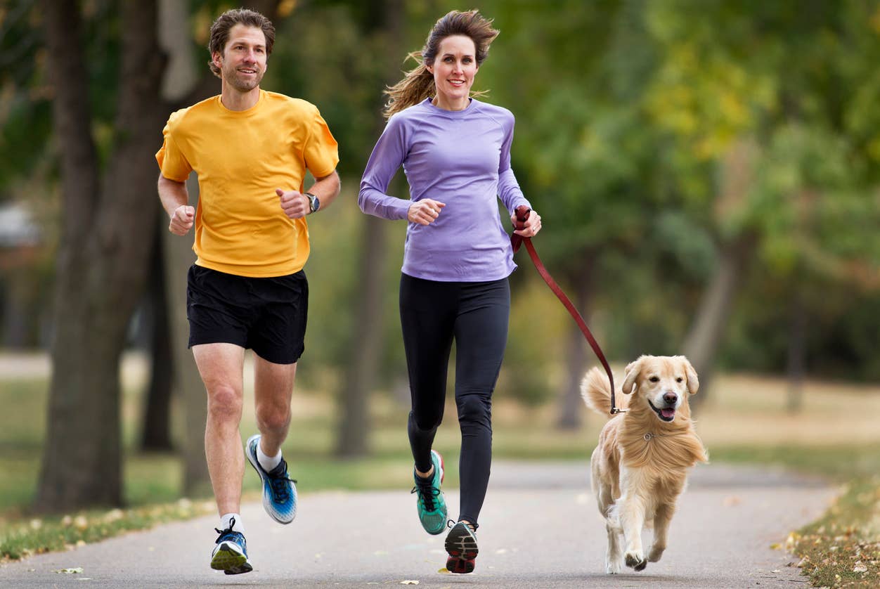 13 Best Dogs for Runners, According to a Trainer - Parade Pets