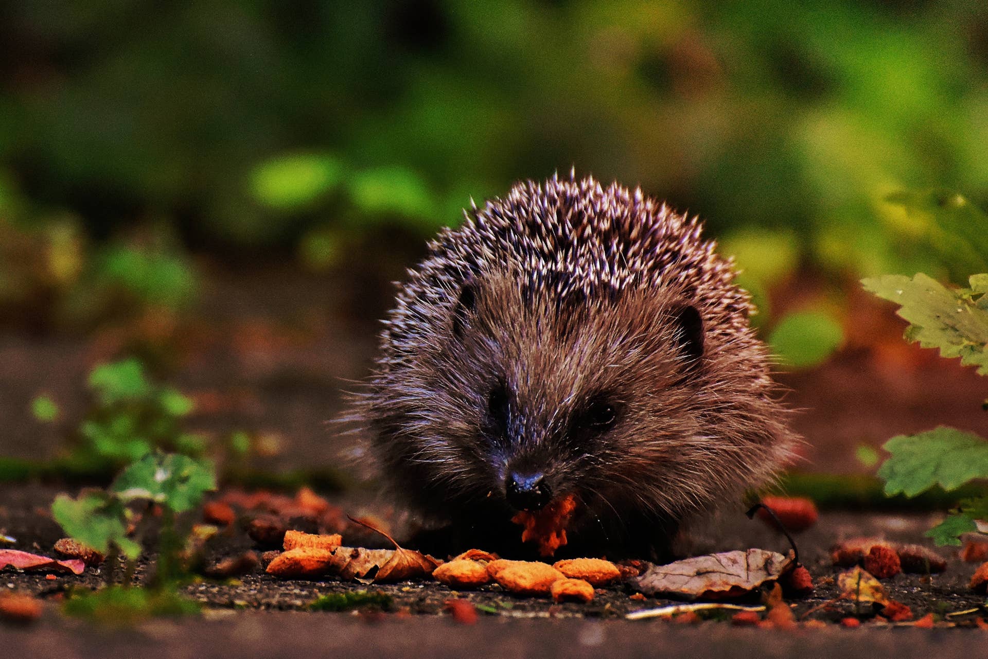 Zoo Animals: Cute Photos, Surprising Moments, and Wild Facts - Parade Pets
