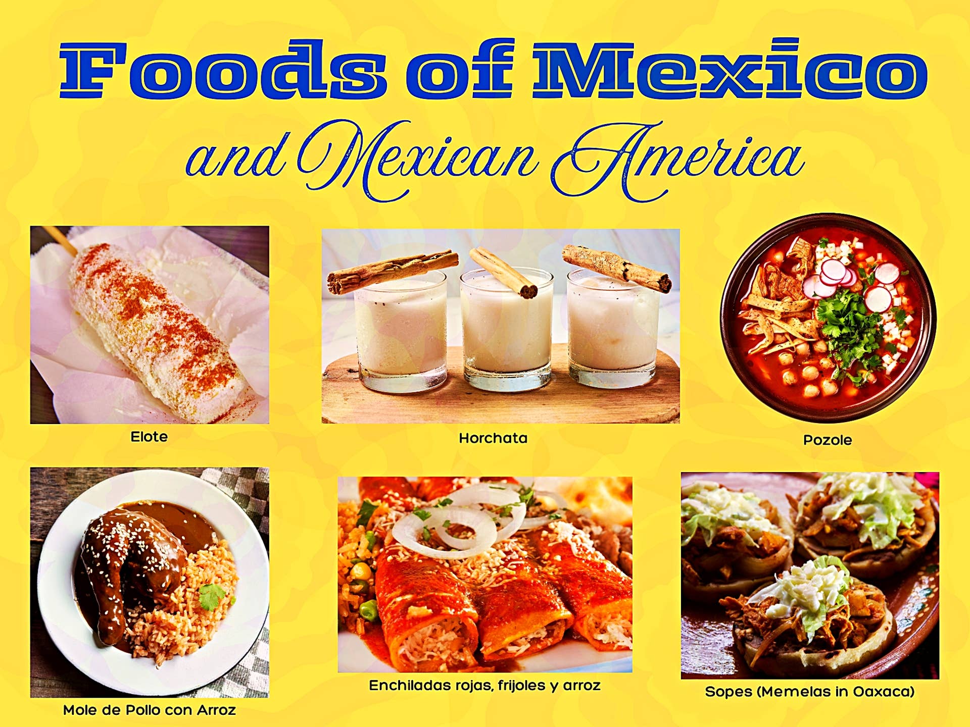 275+ Mexican Dog Names - Parade Pets