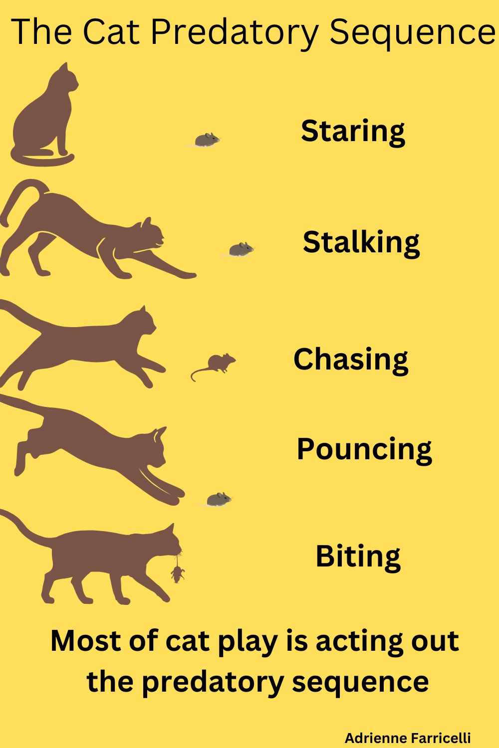 What Is Cat Chattering and Why Do They Do It? - Parade Pets