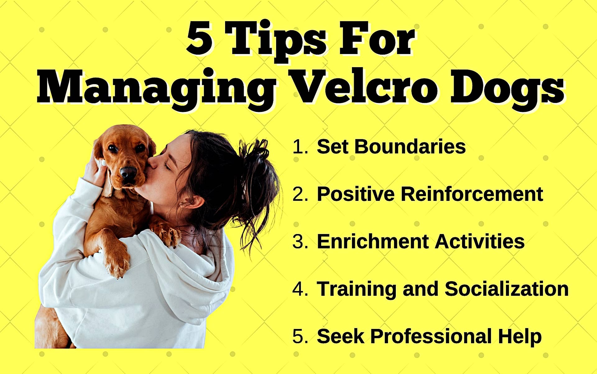 15 Velcro Dog Breeds That Are Clingy and Sweet - Parade Pets