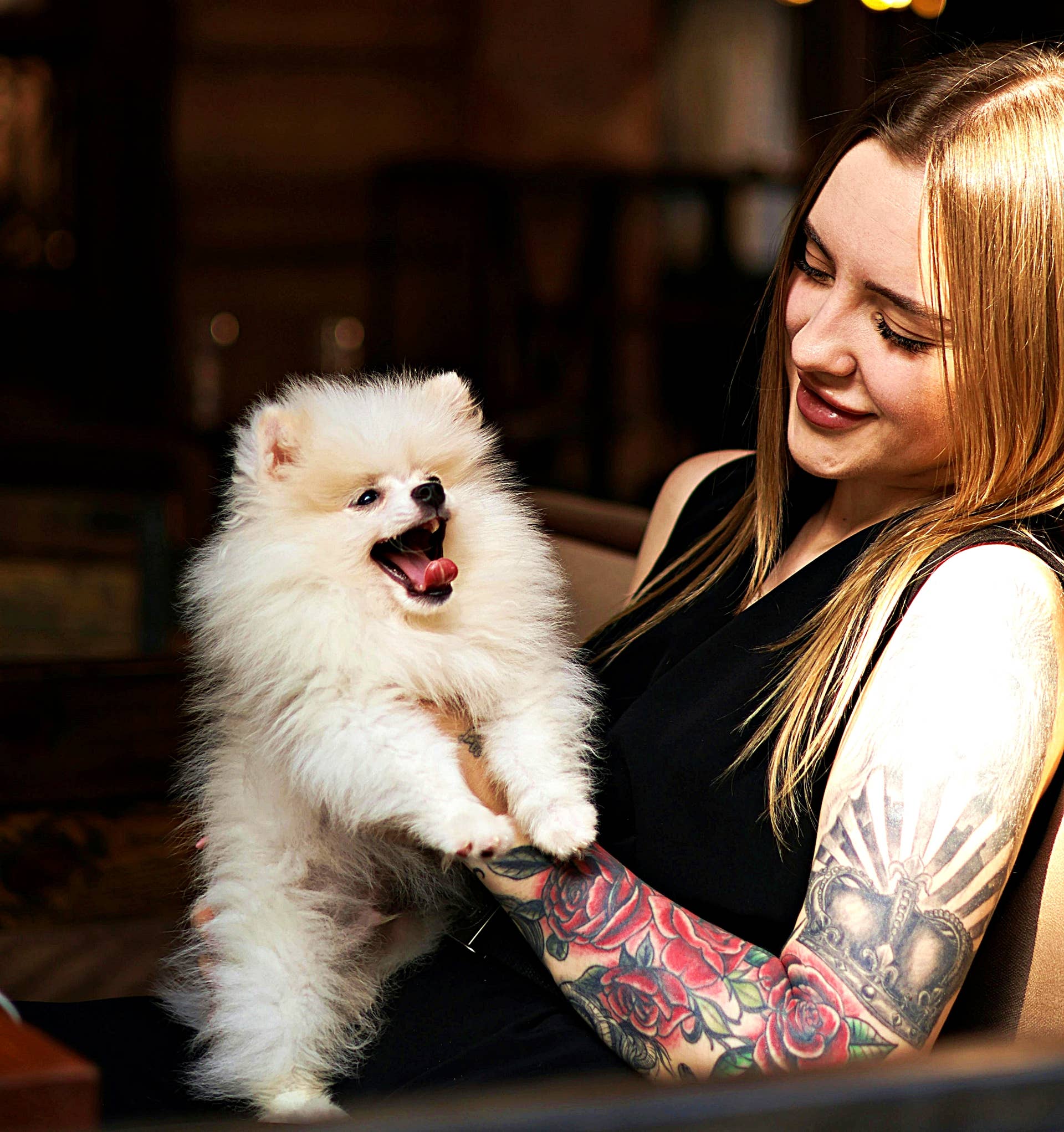 15 Velcro Dog Breeds That Are Clingy and Sweet - Parade Pets
