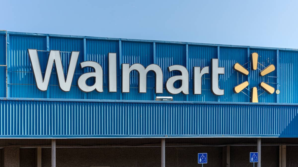 Walmart's $13 Cedar Bluebird House 'Had a Bird Within 2 Days' - Parade Pets