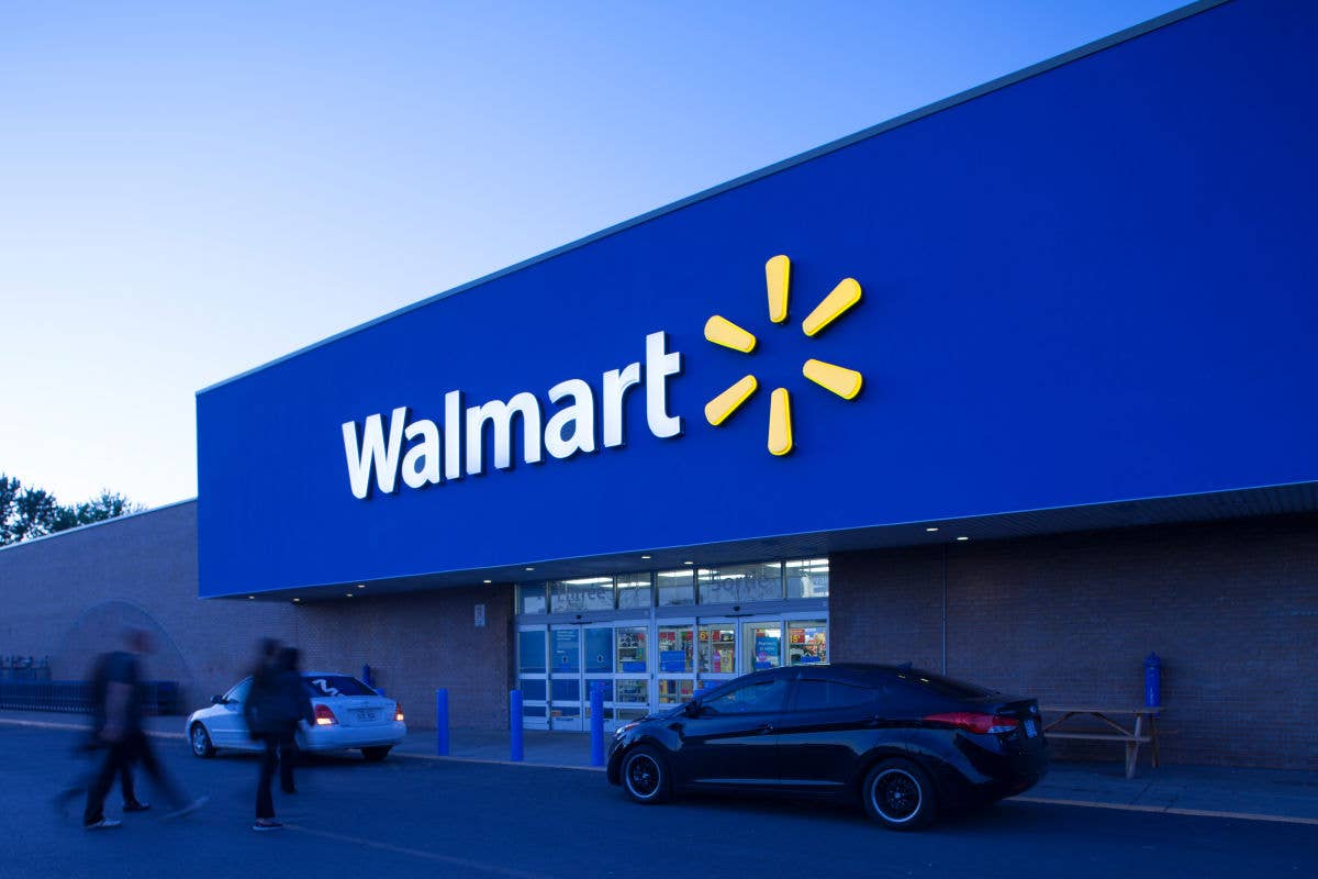 Walmart's Cute Cat-Shaped Wild Bird Feeder Is a Work of Art - Parade Pets