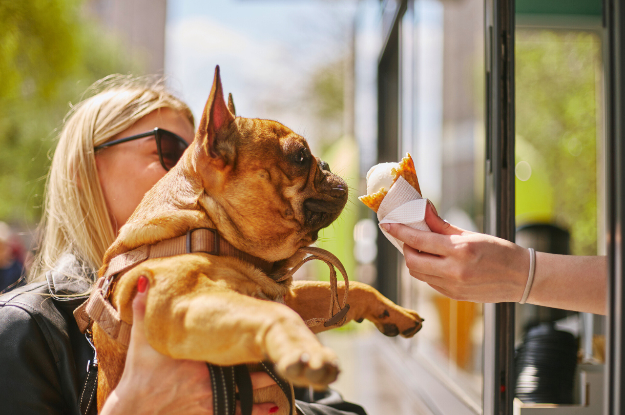9 Crazy Dog Breeds That Are Quirky and Chaotic - Parade Pets