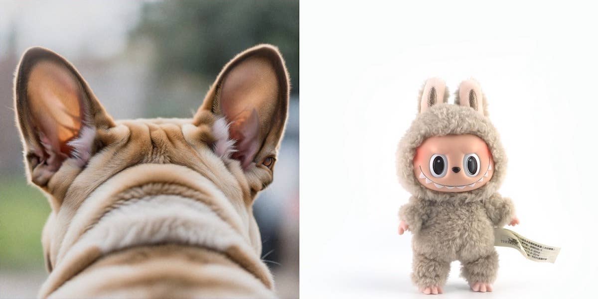 Fluffy Frenchie With Fierce Little Teeth Looks Just Like a Real Life ...