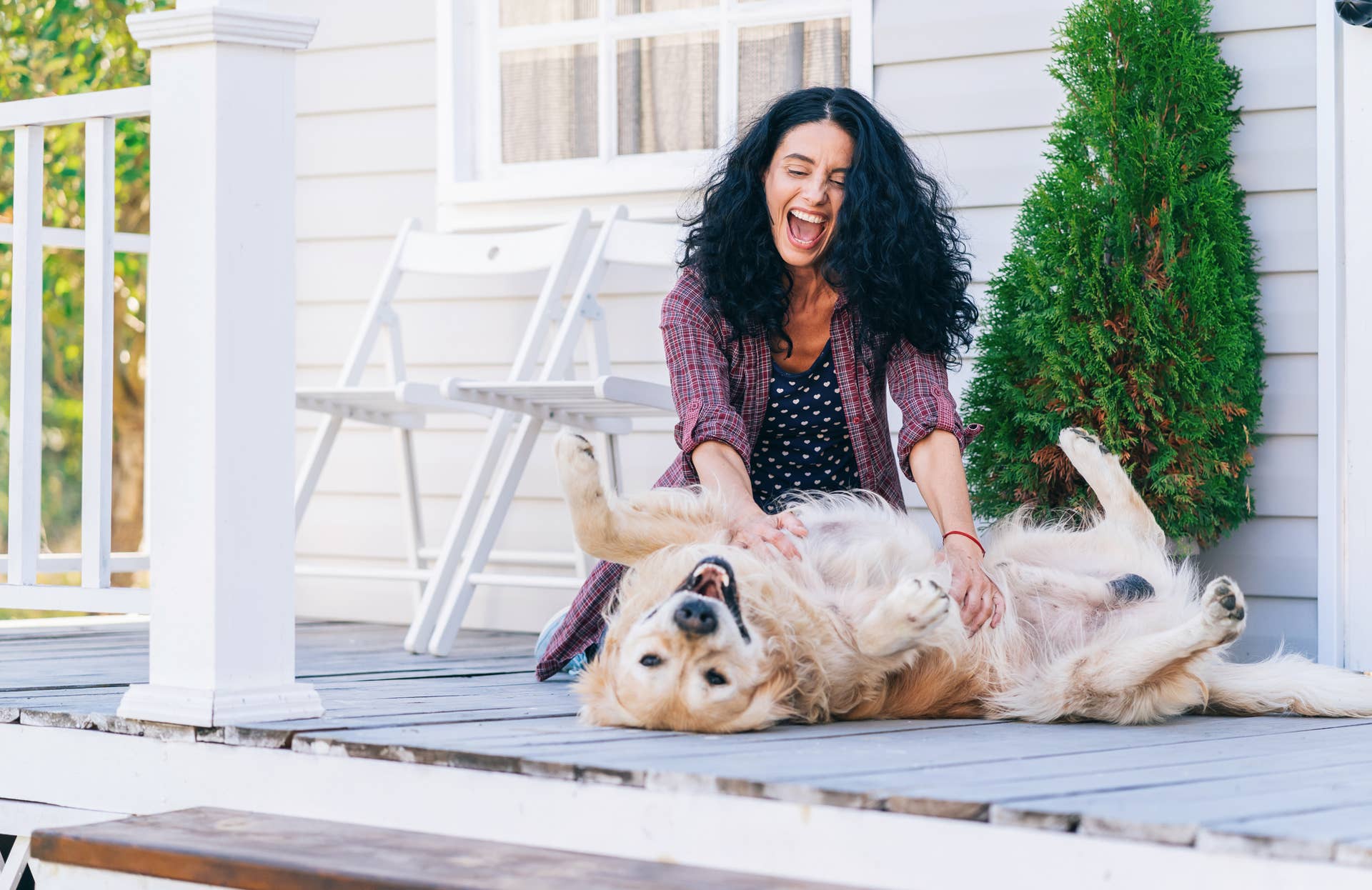 Soul Dog: 14 Signs Your Dog Is Your Soulmate - Parade Pets