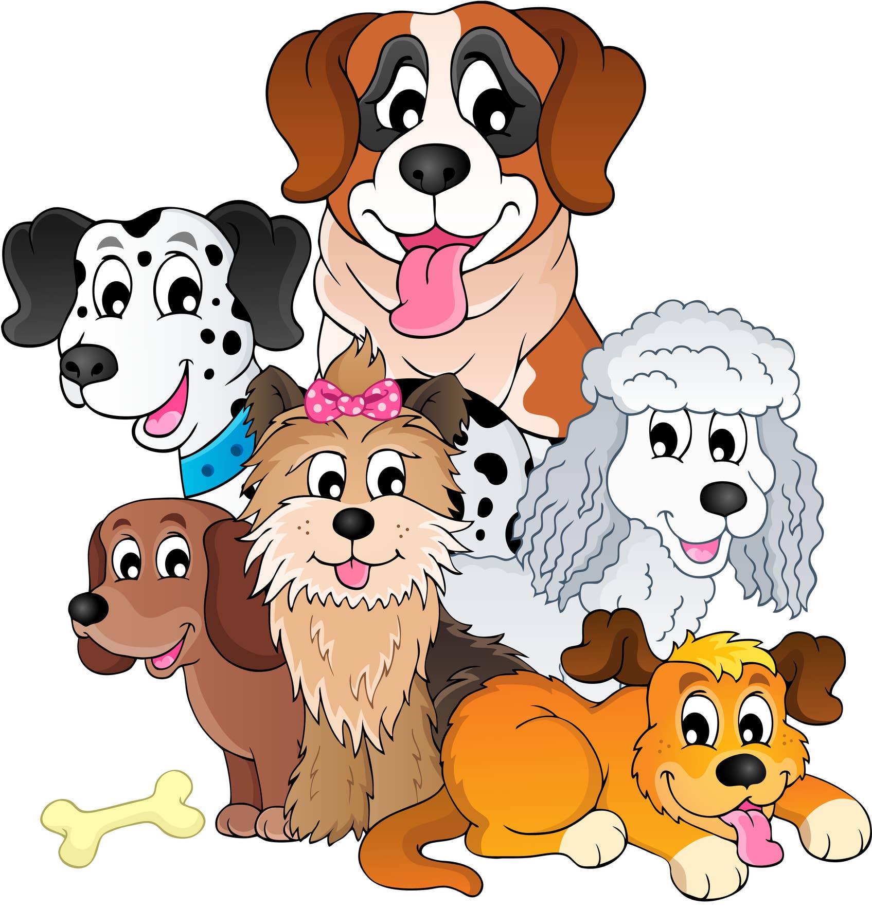Sassy Dog Breeds: Traits & Care Tips From Experts - Parade Pets