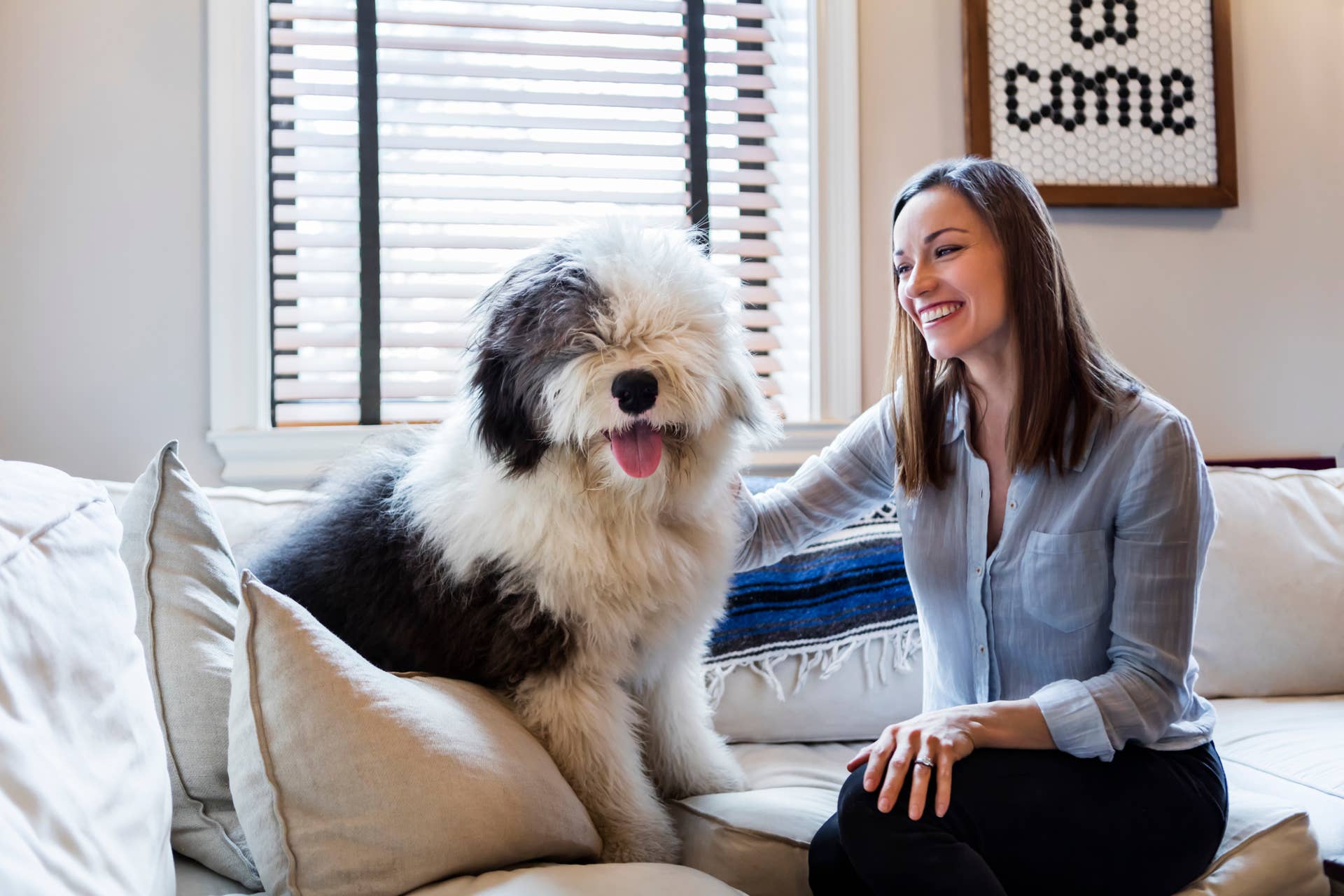 7 Softest Dog Breeds for Fluffy Fur Cuddling - Parade Pets
