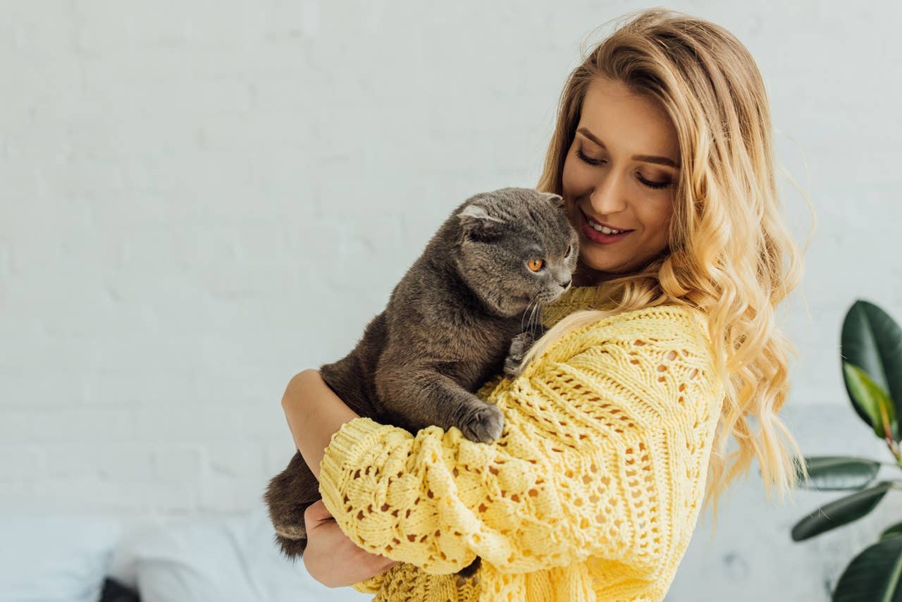 7 Best Cat Breeds for Apartments: Breeds & Characteristics - Parade Pets