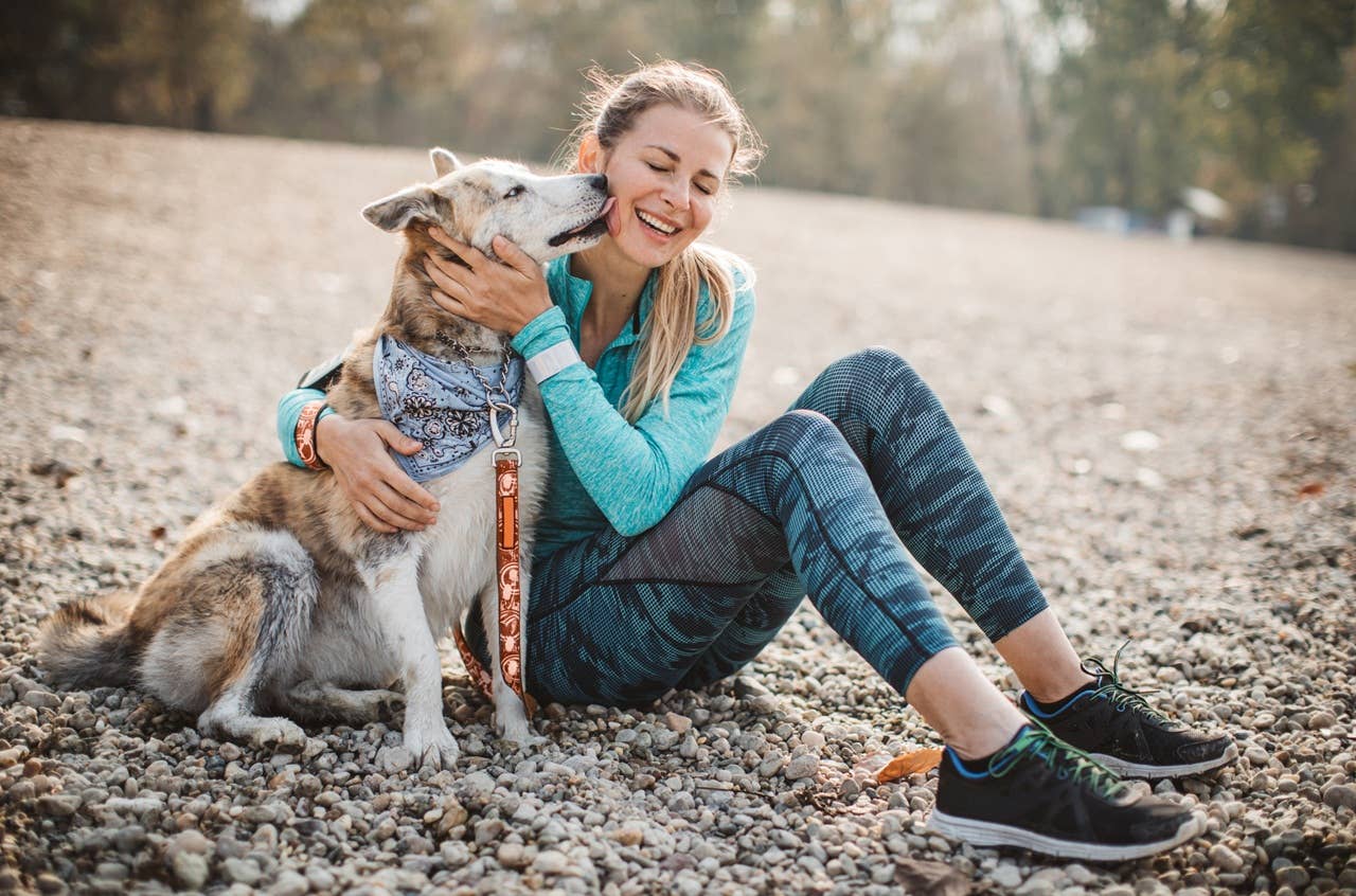 7 Adorable Signs Your Dog Is Crazy About You, Say Vets - Parade Pets