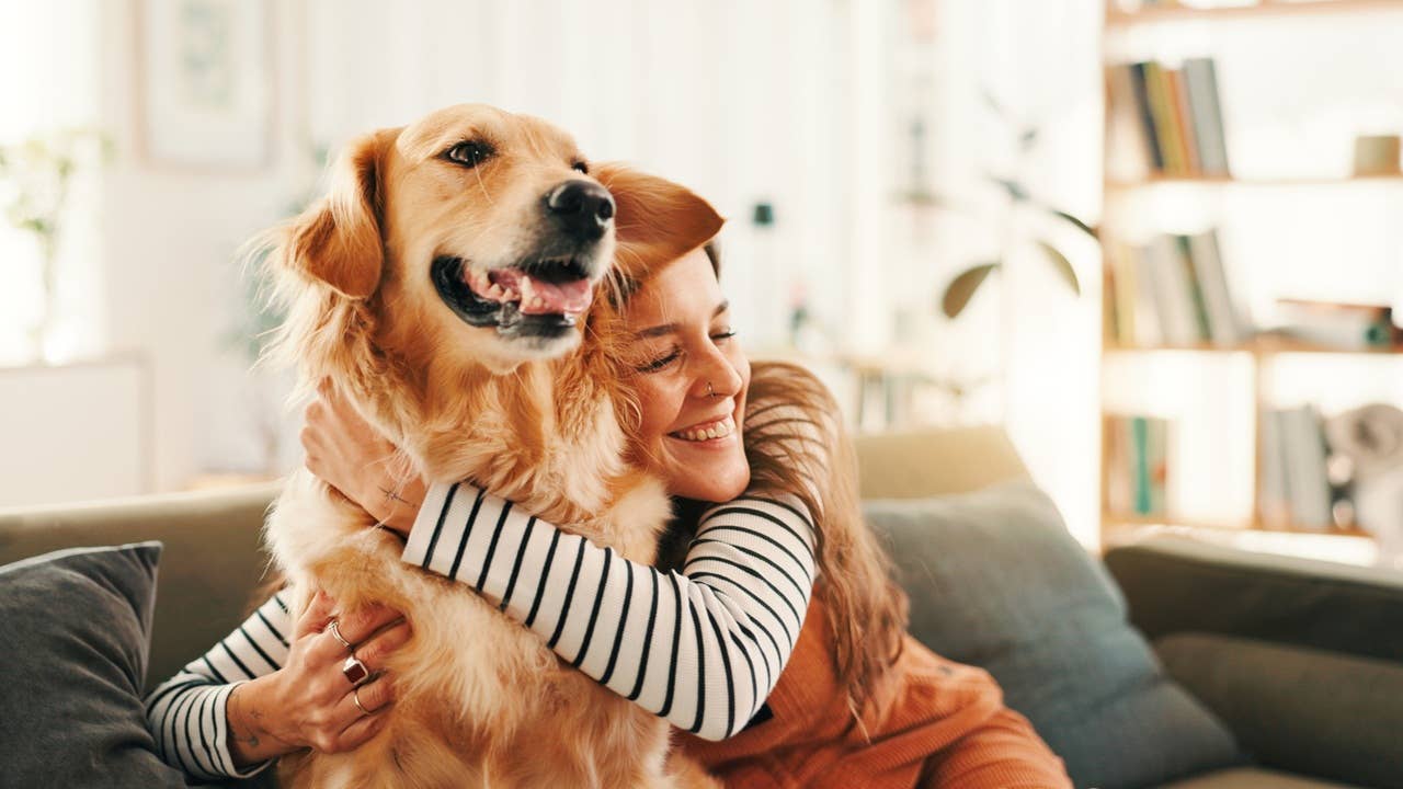 7 Most Popular Dog Breeds That Make Great Pets, Say Experts - Parade Pets