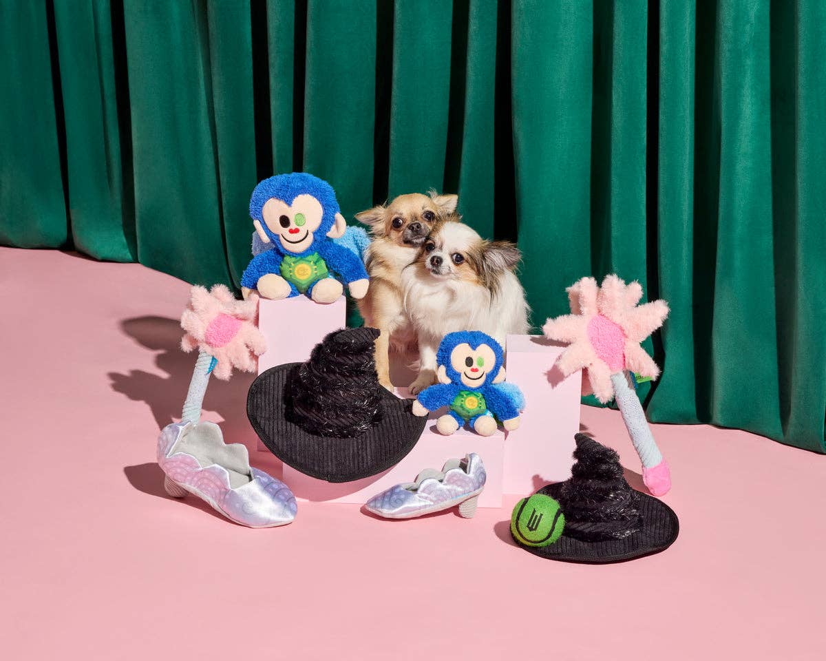 Bark Box Launches Wicked Theme Complete With a Flying Monkey - Parade Pets