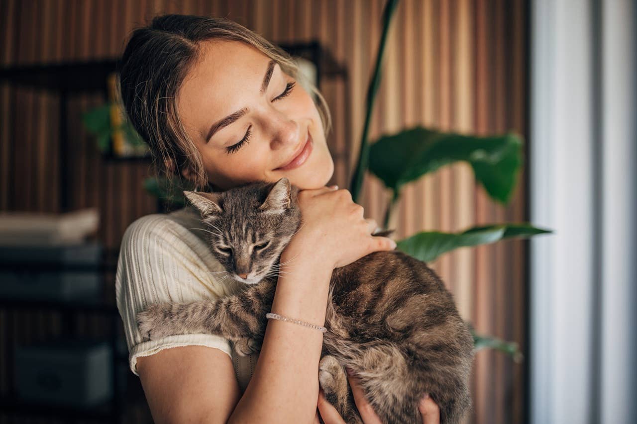 7 Signs You're a Good Cat Parent, According to a Vet - Parade Pets