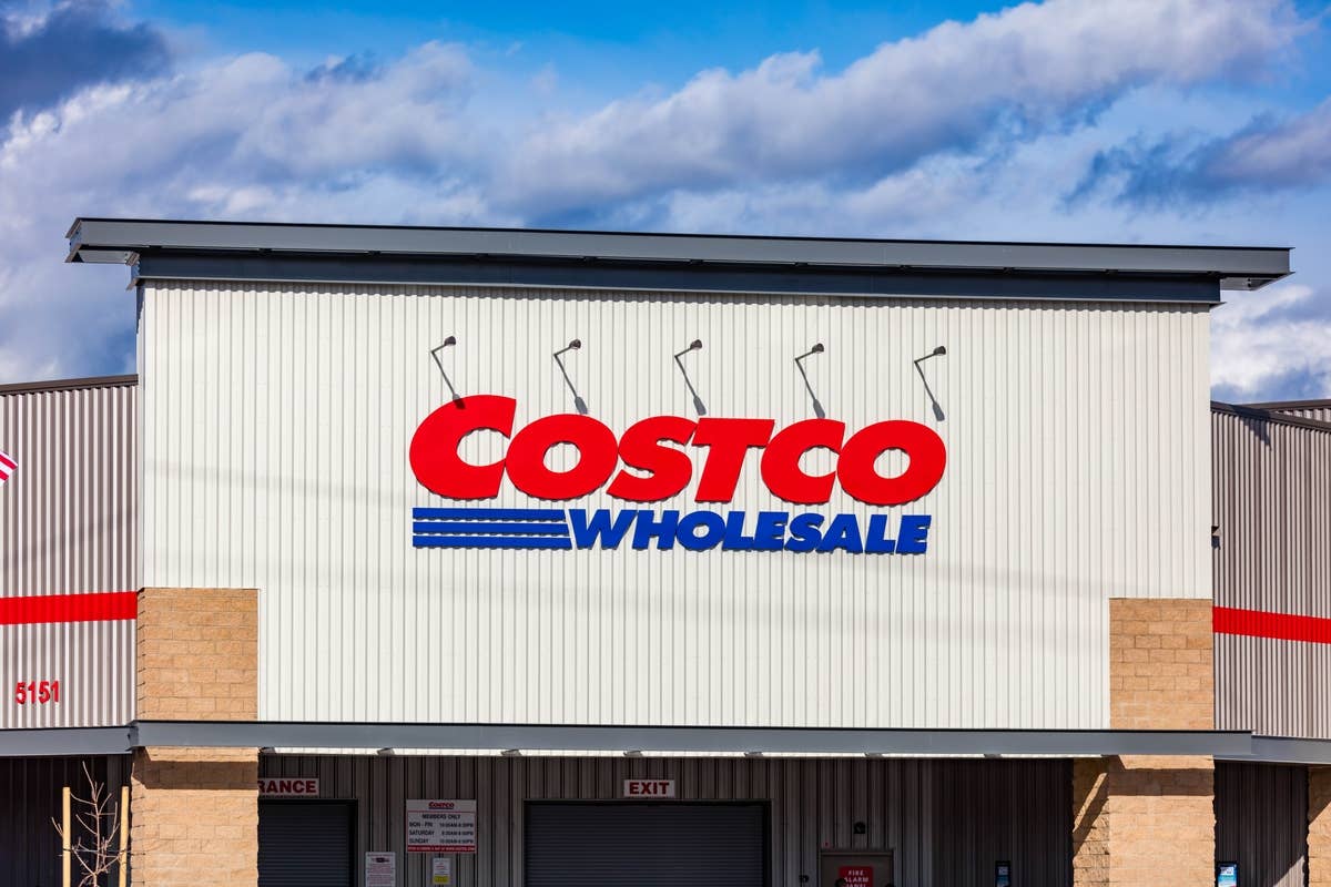 Costco's $27 Catit Mega Mix: The Lickable Treat Cats Crave - Parade Pets