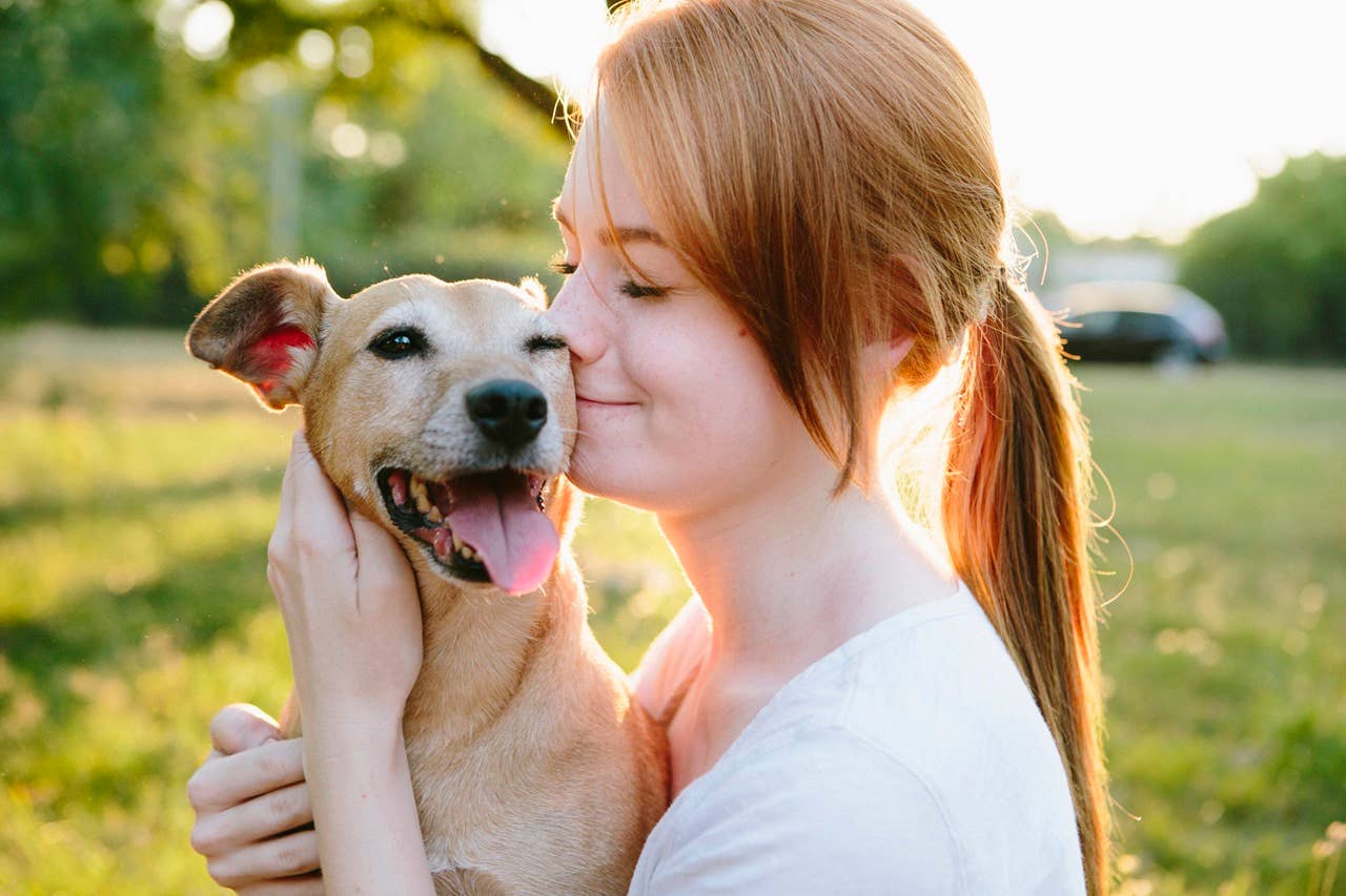7 Signs Your Dog Is Bonded to You and Loves You, Say Experts - Parade Pets