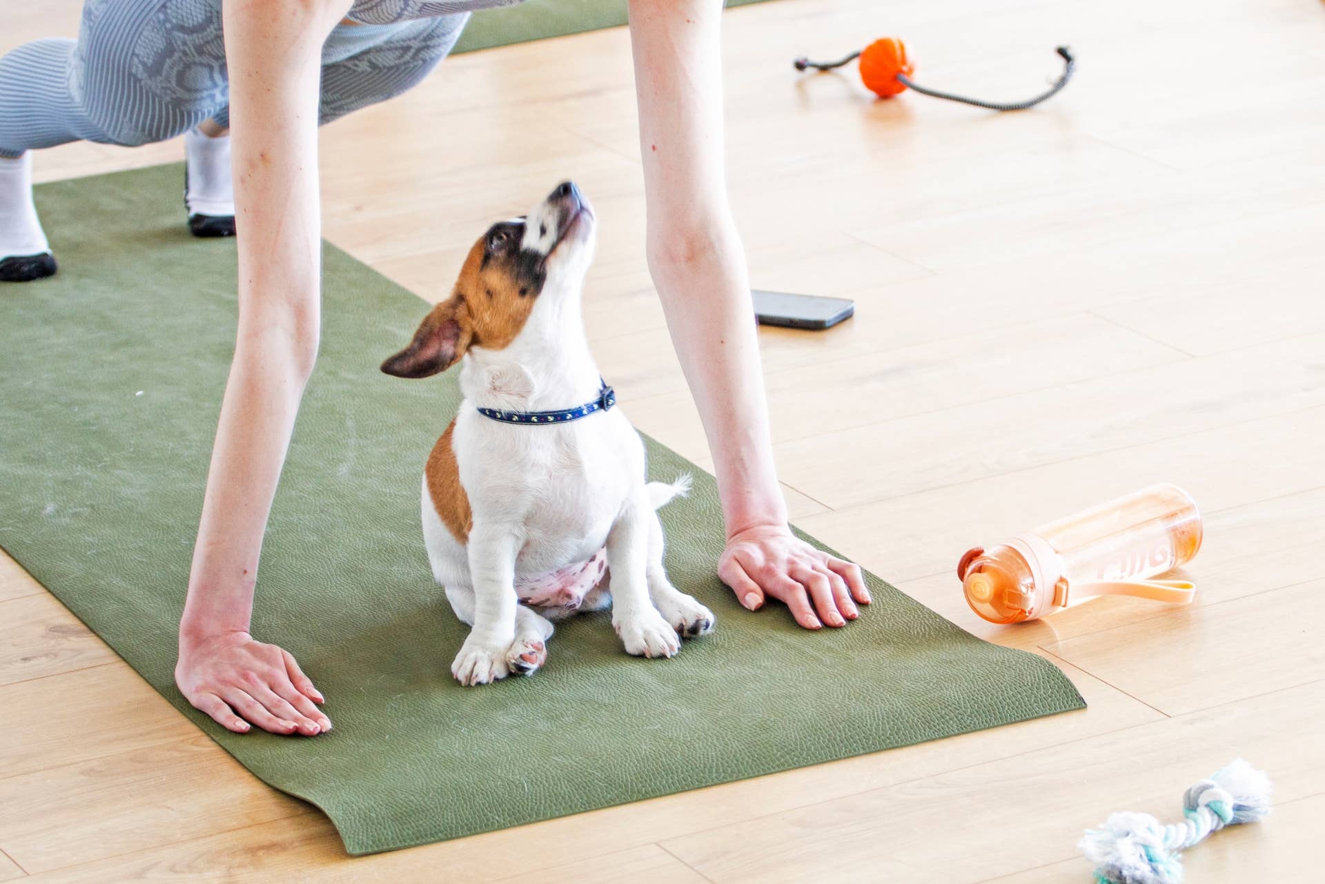 Puppies Loving on Little Boy in Yoga Class Will Melt Your Heart ...