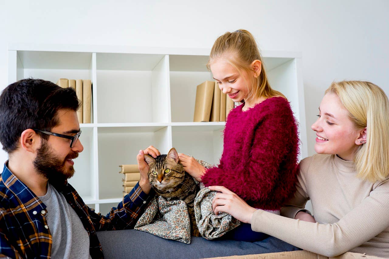 5 Best Cat Breeds for Families, According to Vets - Parade Pets