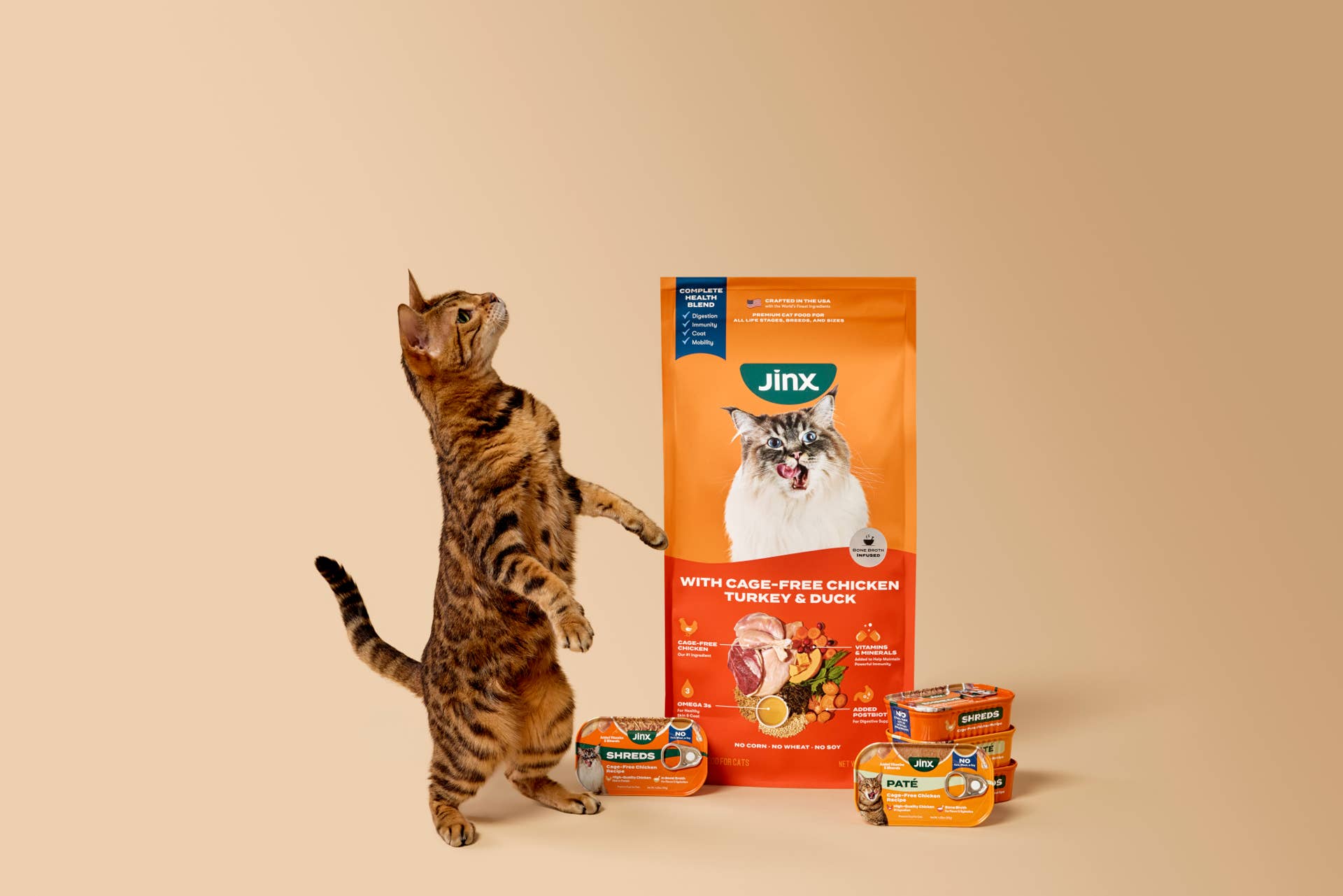 Jinx Partners With Tinx, Launching 'Green Flag' Cat Food Line - Parade Pets