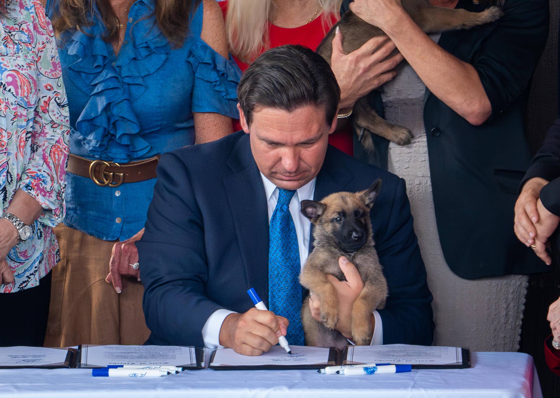 New Florida Law Bans Pet Ownership for This Serious Offense - Parade Pets