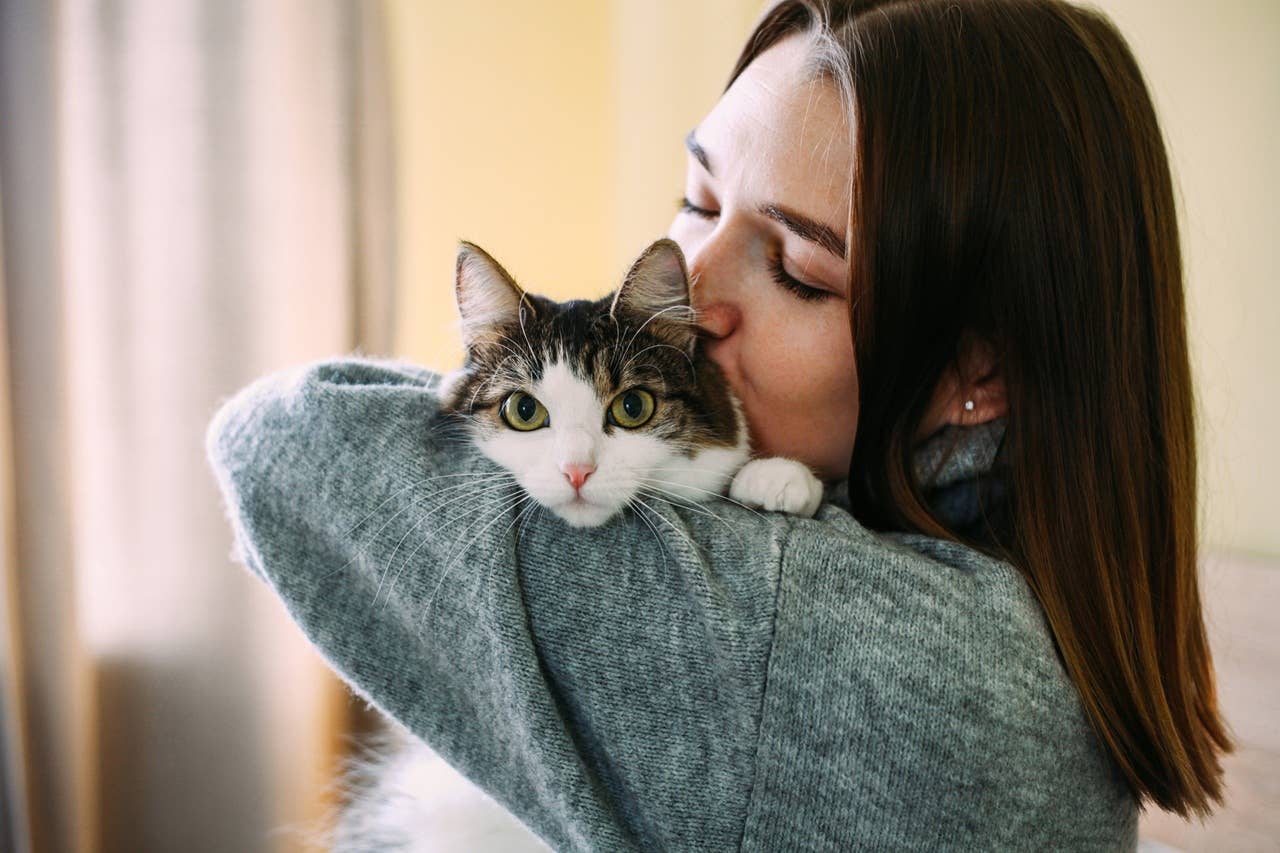 6 Heartbreaking Signs Your Cat is Sad, According to Vets - Parade Pets