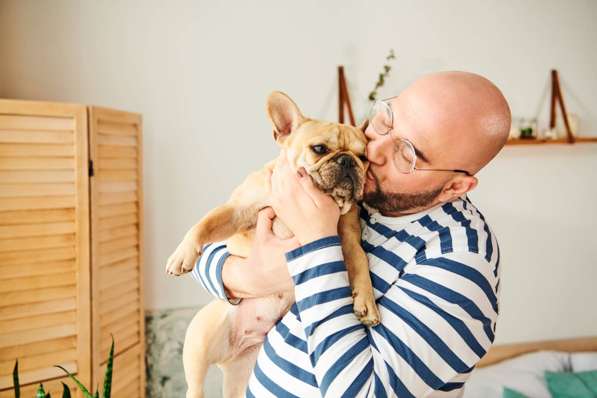 Missing Utah Frenchie Has 'Emotional' Reunion With Owner - Parade Pets