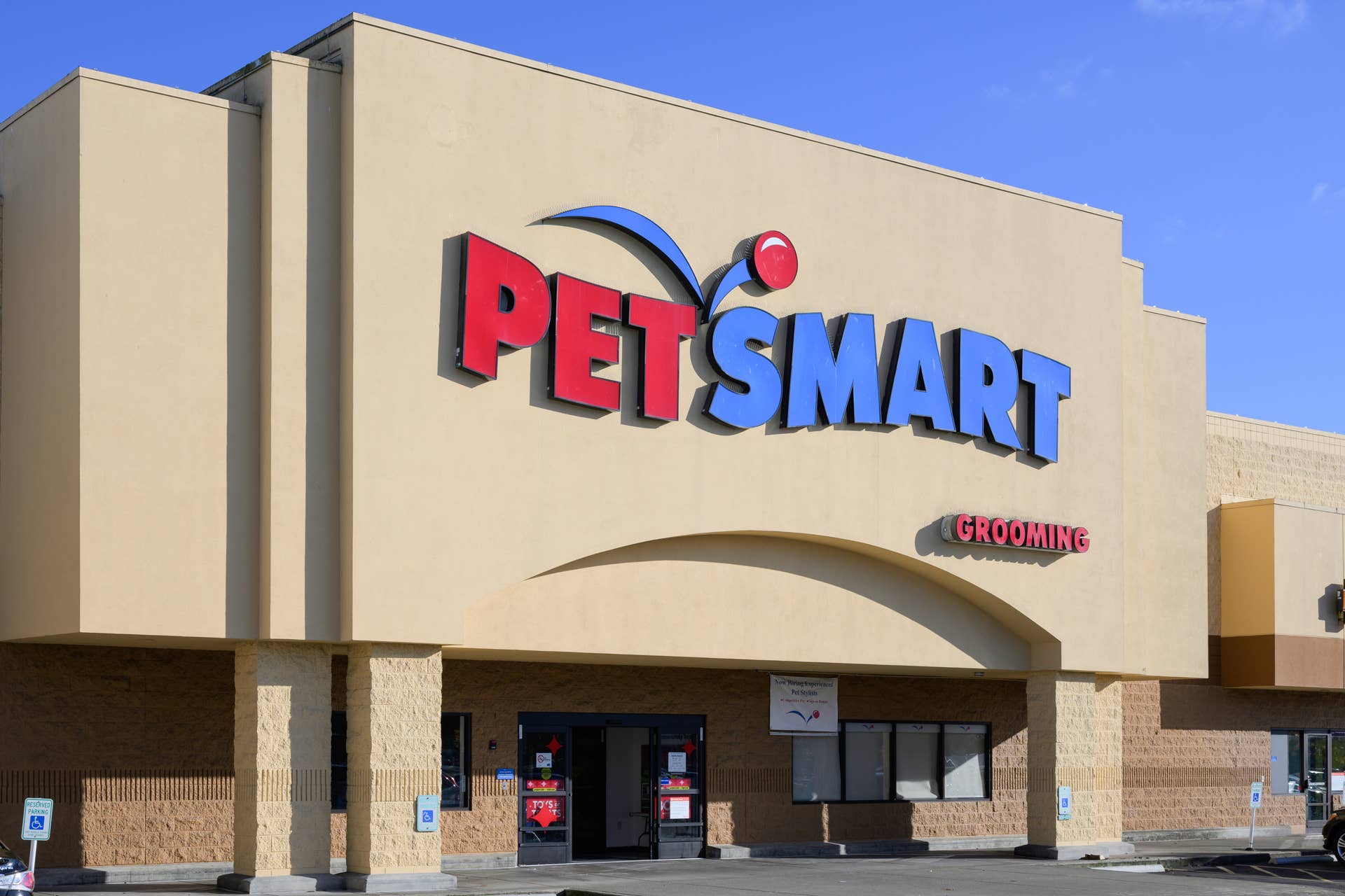 PetSmart's $8 'Seasonably Stylish' Sweater Is a Springtime Must-Have ...