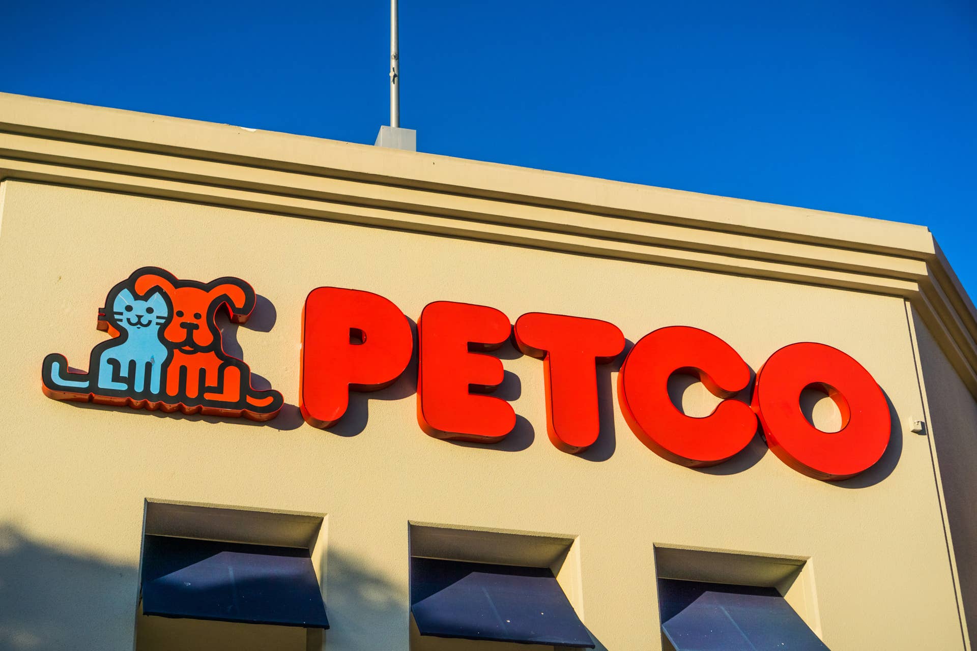 Petco Hosting Free Puppy Playtime and Easter Pet Events - Parade Pets