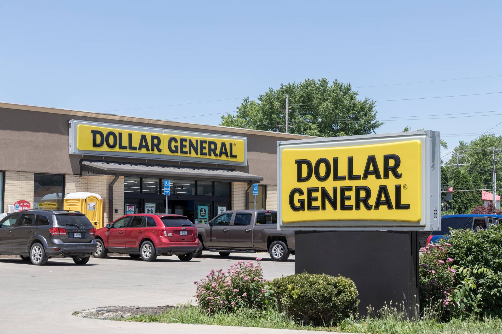 Dollar General's $15 Lego Disney Simba Is 'Worth Every Penny' - Parade Pets