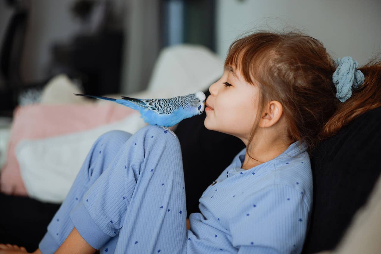 7 Best Small Pets for Kids | Easy-to-Care-For & Vet-Approved - Parade Pets