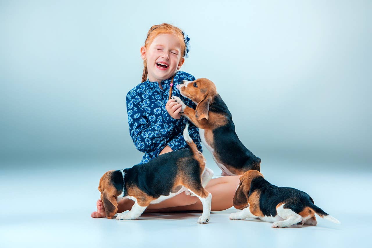 7 Best Small Pets for Kids | Easy-to-Care-For & Vet-Approved - Parade Pets