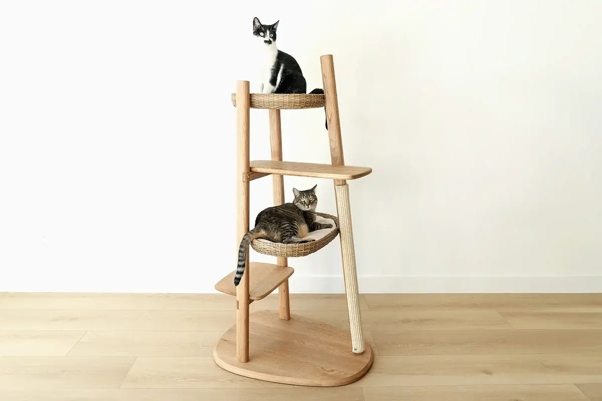This Chic Cat Tree Is Perfect for Multi-Cat Households - Parade Pets