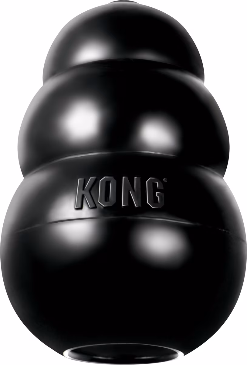 5 Indestructible KONG Dog Toys on Amazon (Expert Picks) - Parade Pets