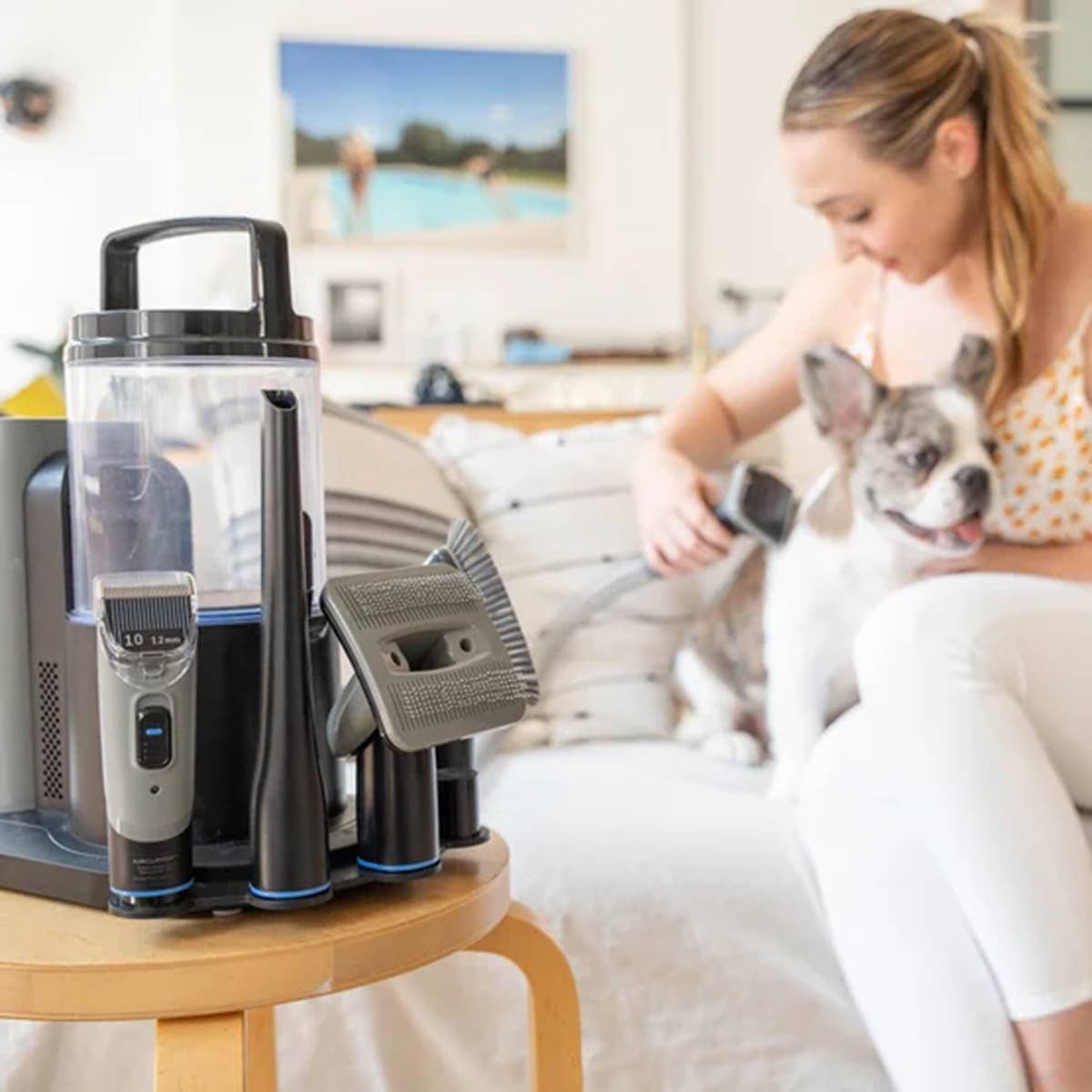 Pet Parents Are Loving Costco's Versatile 12-Piece Grooming Kit ...