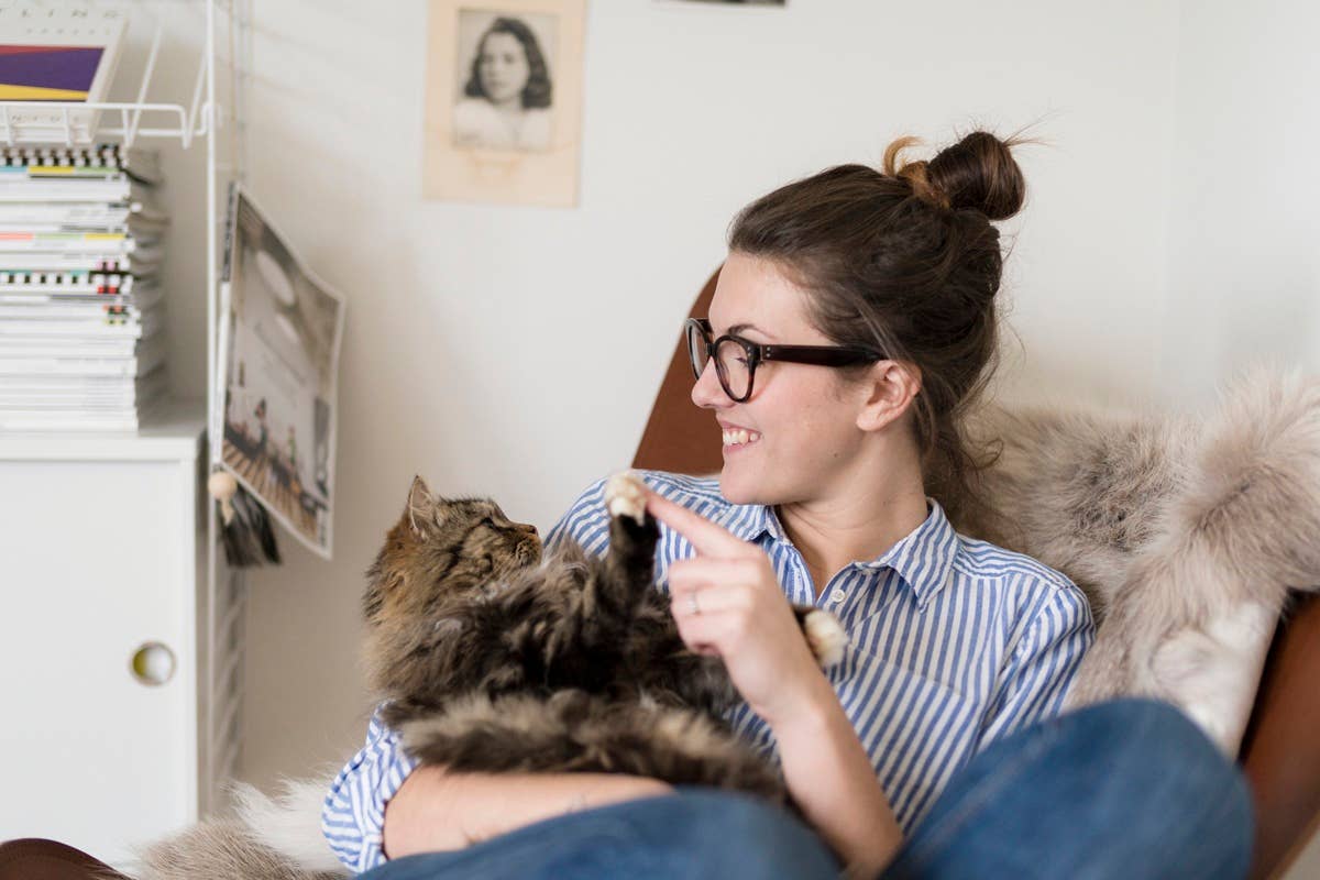 How to Tell If Your Cat Actually Likes Cuddling, According to a Pet ...