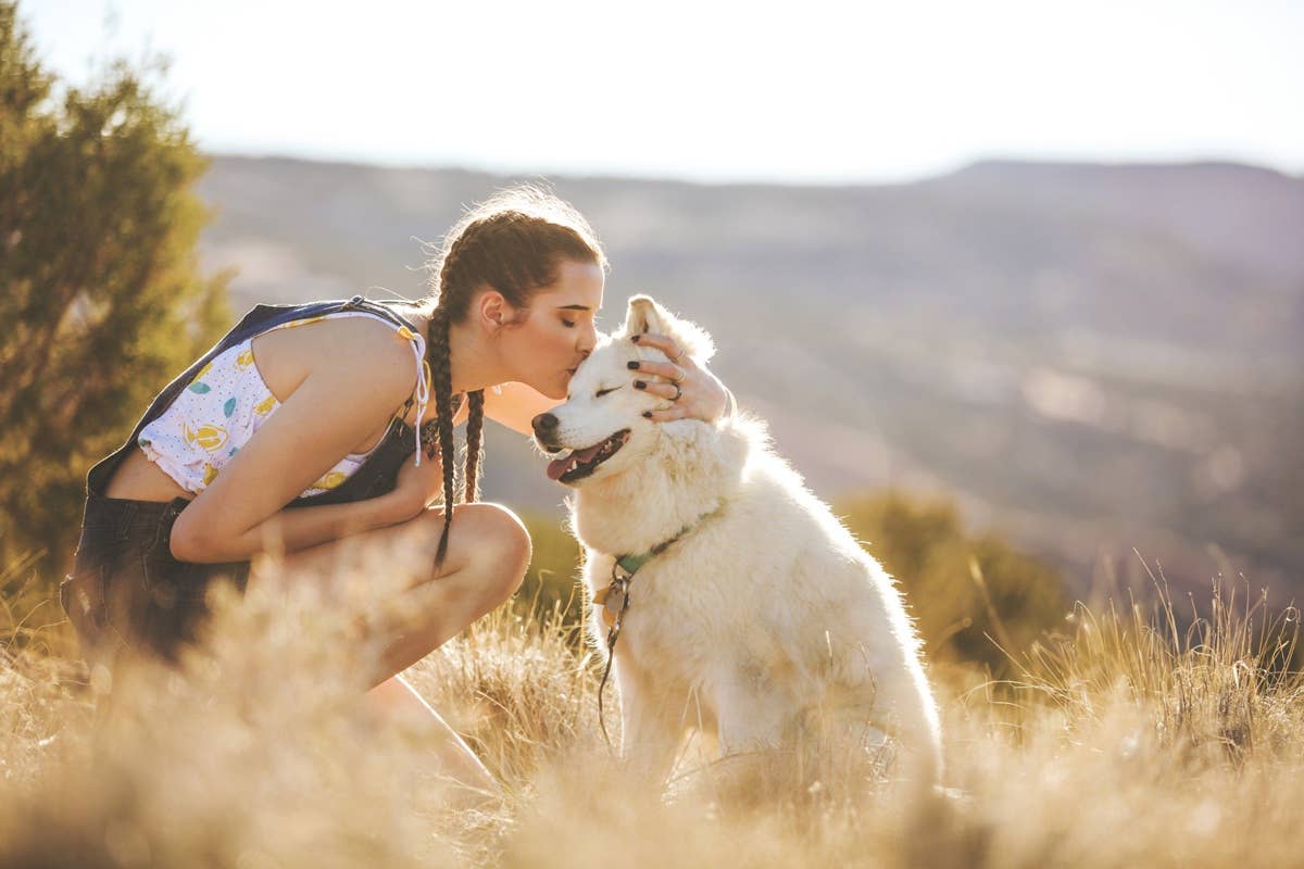 7 Dog Breeds Perfect for Hiking, According to a Trainer - Parade Pets
