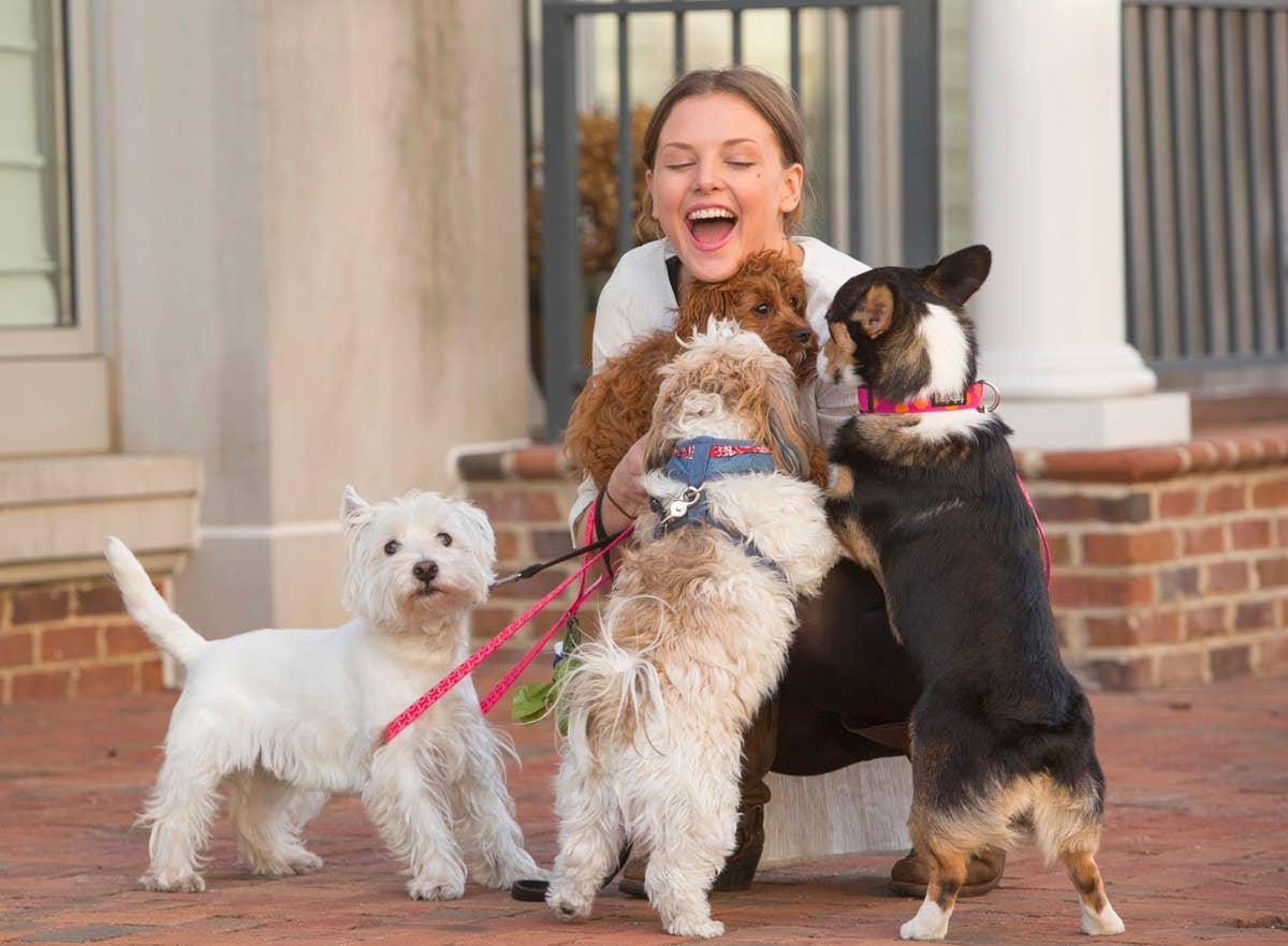 Dog Breeds That Form Strong Bonds With Women - Parade Pets