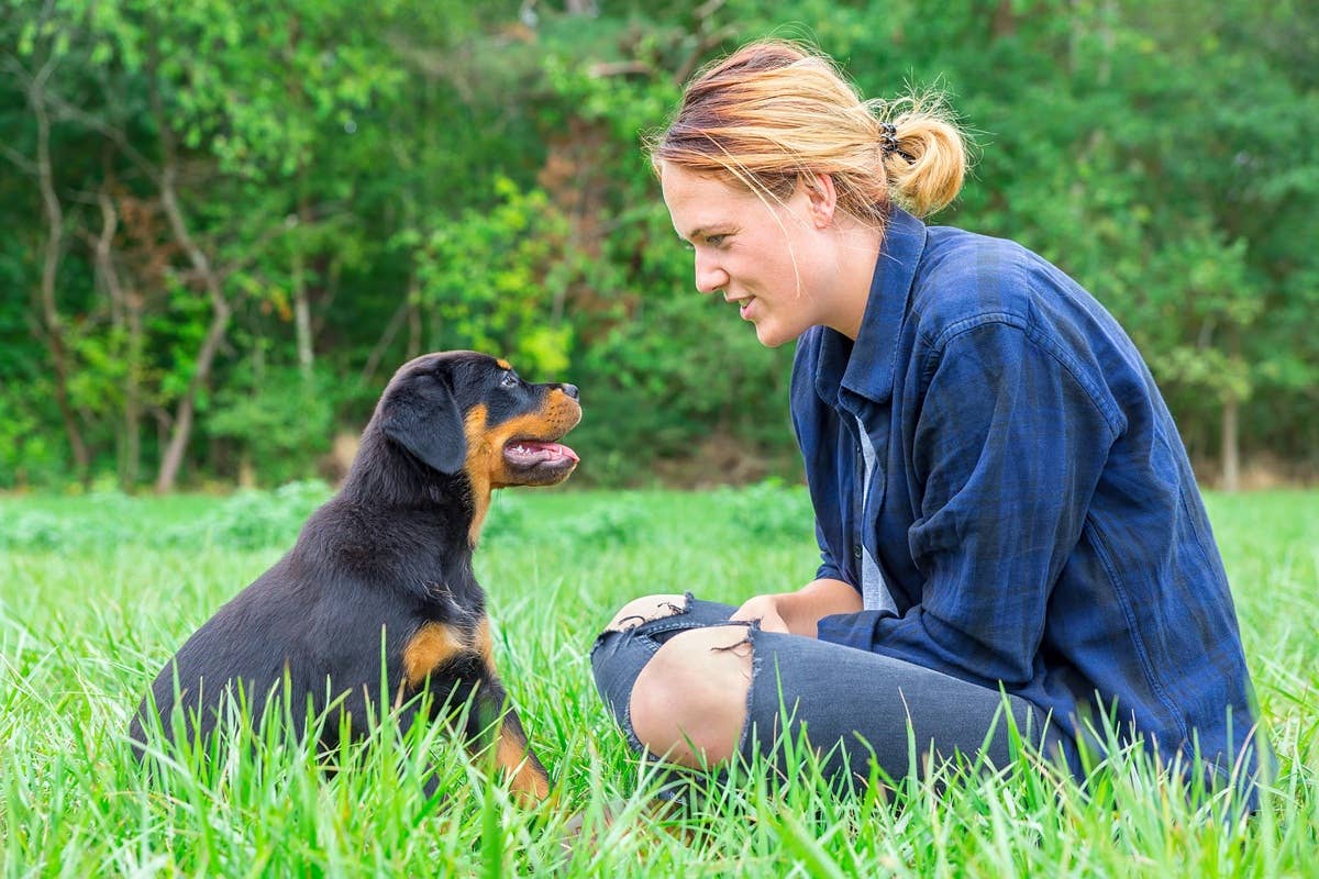 Dog Breeds That Form Strong Bonds With Women - Parade Pets