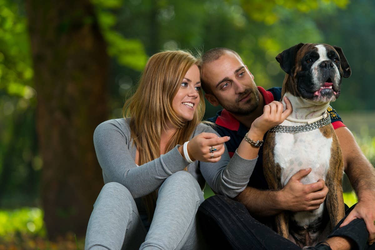 7 Best Dog Breeds for Couples, According to Experts - Parade Pets