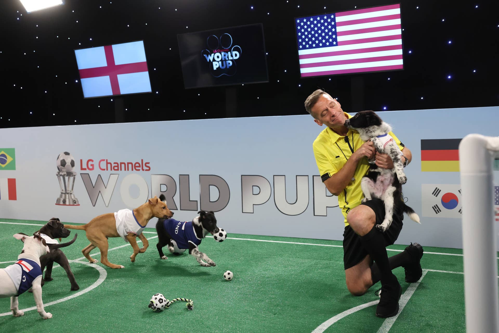 LG Channels ‘World Pup’ Turns Rescue Puppies Into Tiny International ...