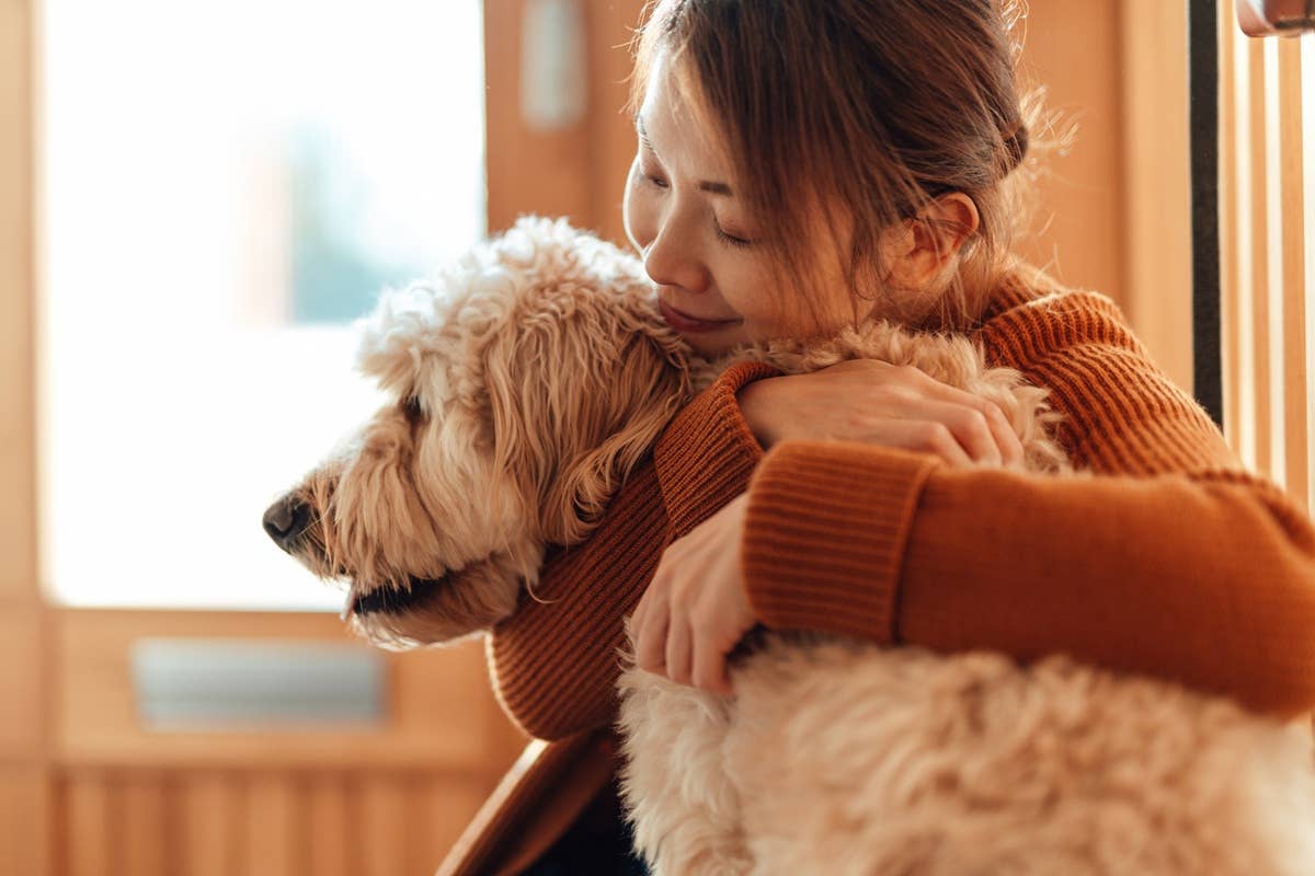 Dog Trainers Explains 7 Things That Can Make Your Dog Suddenly Not Like ...