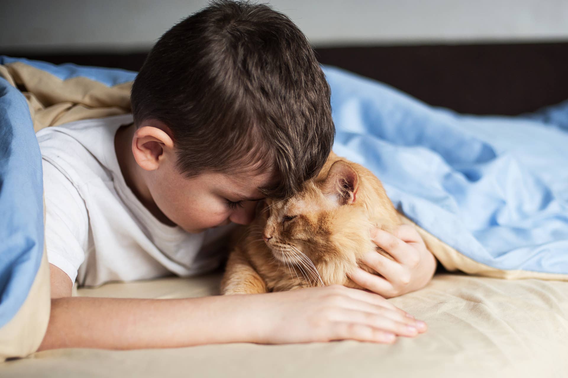 Little Boy Overcome With Emotion After His Beloved Cat, Missing Since ...
