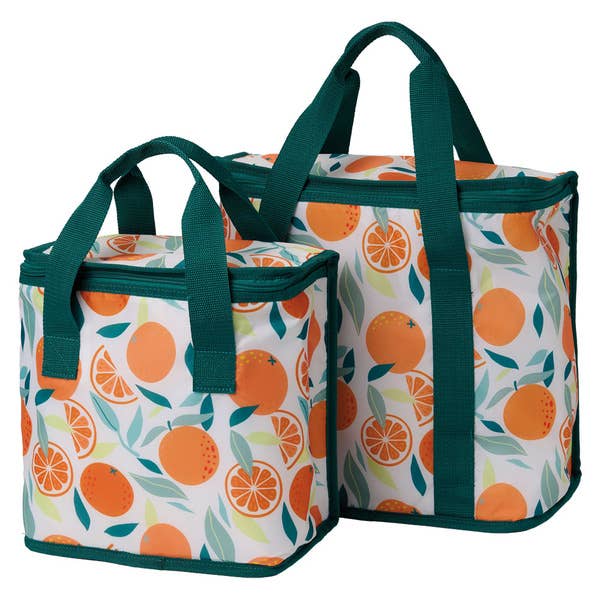 Pet Parents Are Snapping Up Aldi's Cute Matching $8 Cooler Bags ...