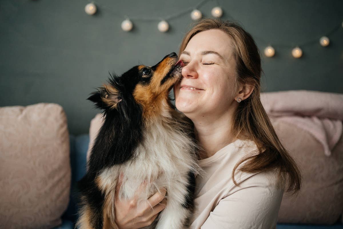 7 Signs Your Dog Loves Living With You, According to a Trainer - Parade ...