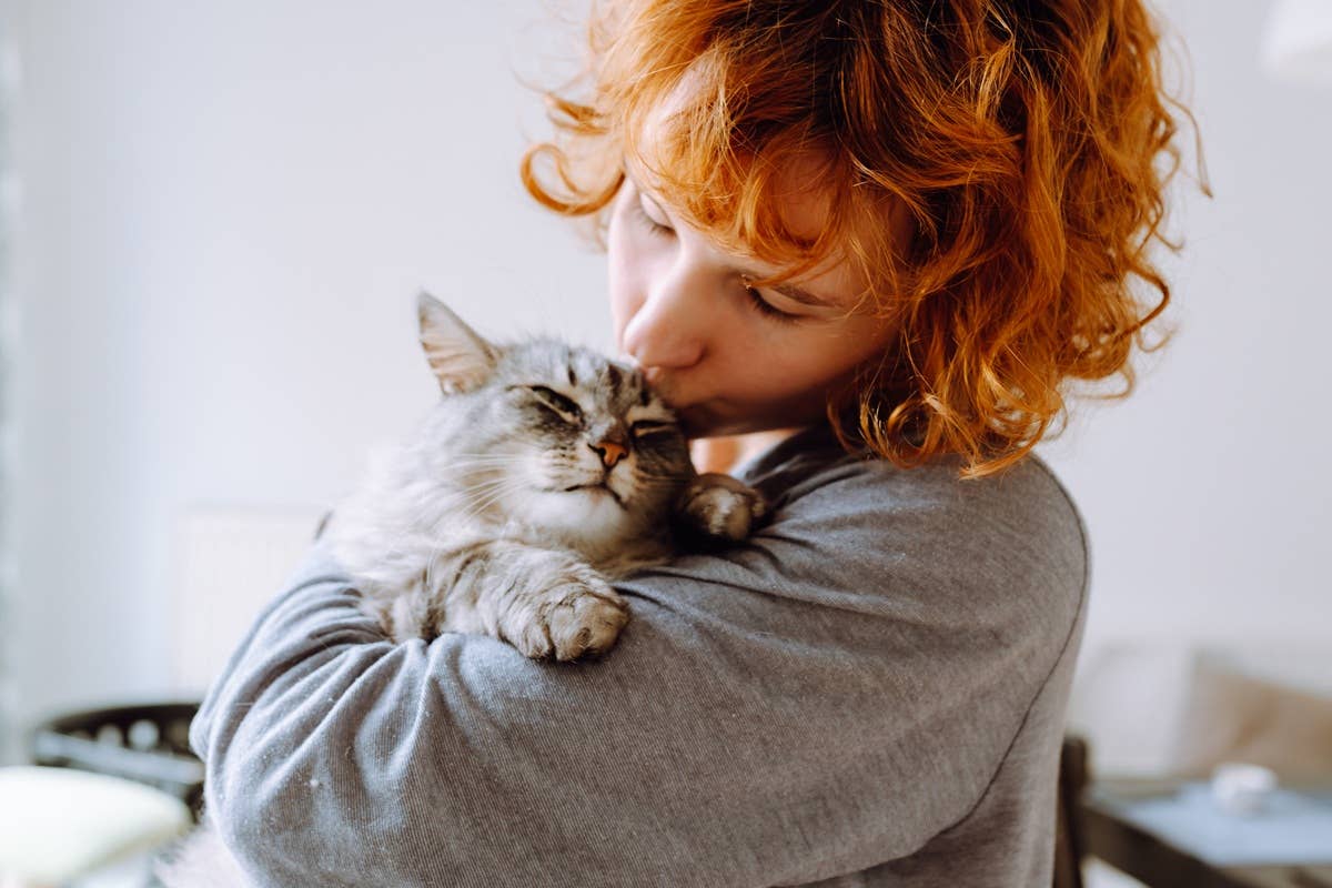 9 Signs Your Cat Thinks You're Their Best Friend, Says a Vet - Parade Pets