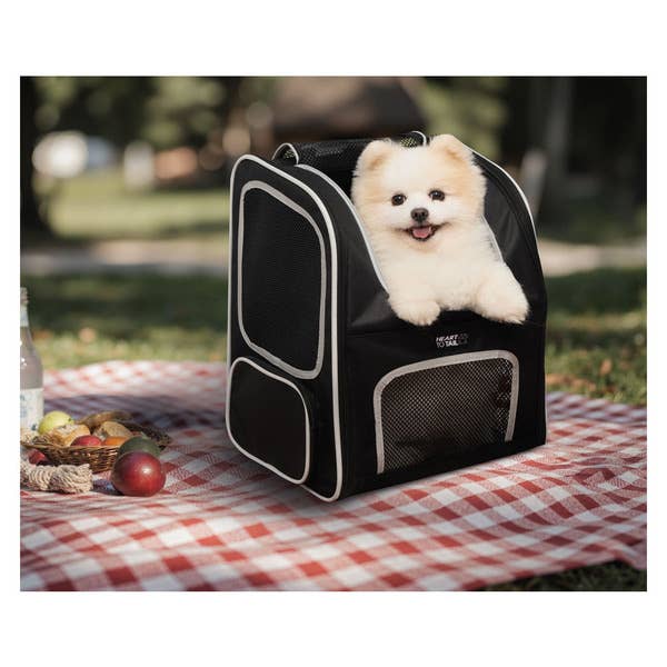 Aldi $20 Pet Backpack: The Perfect Dog Dad Gift - Parade Pets