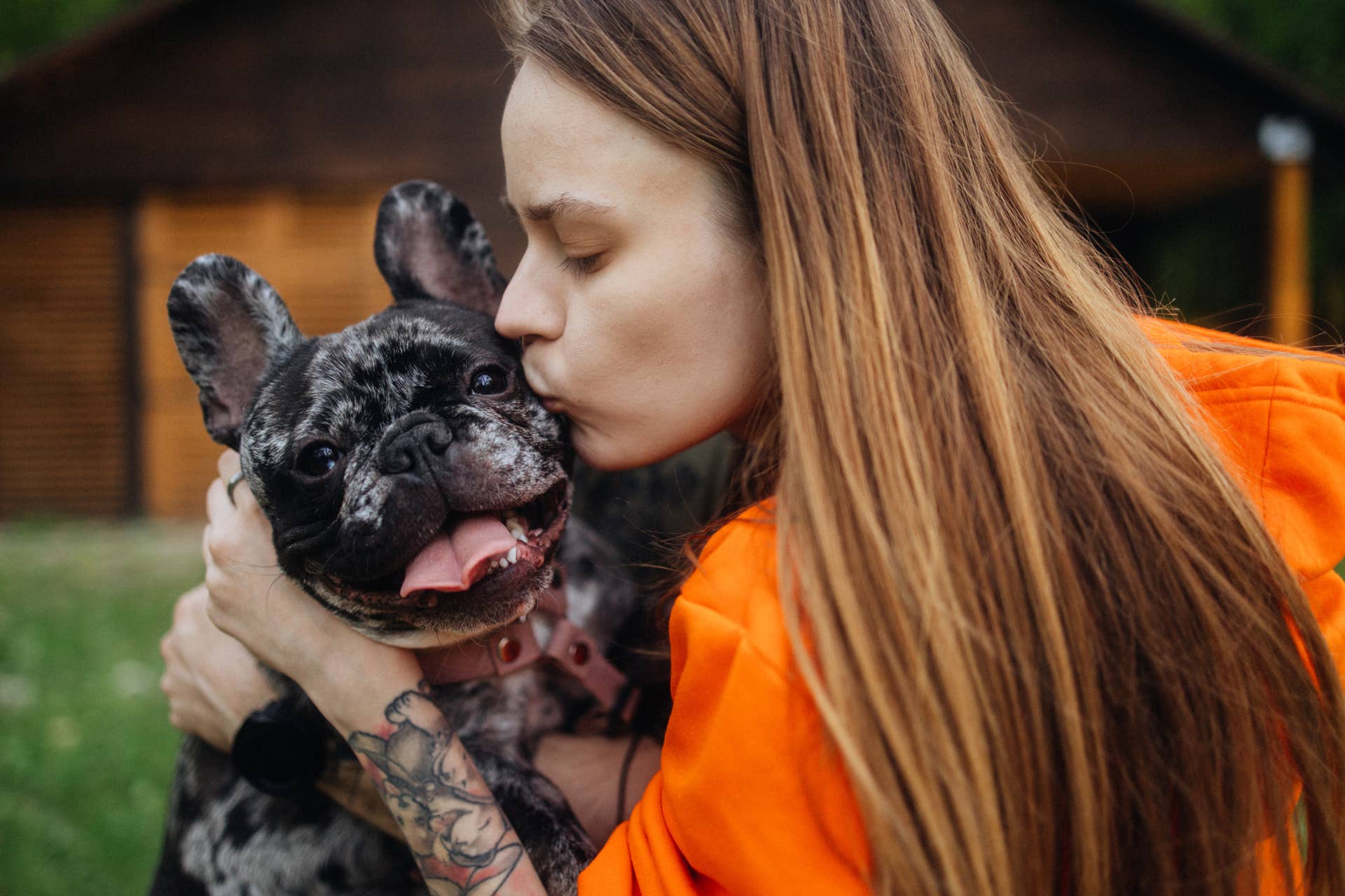 7 Funny and Adorable Realities of Owning a French Bulldog - Parade Pets