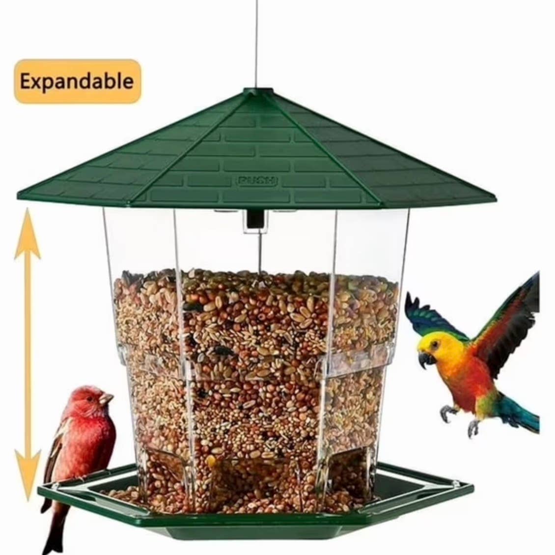 Walmart's $12 Expandable Wild Bird Feeder Is Over 50% Off - Parade Pets